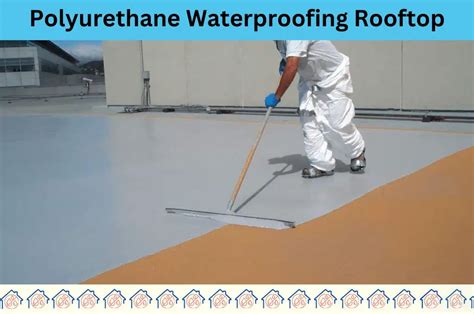 Polyurethane Waterproof Coating Women Daily Magazine