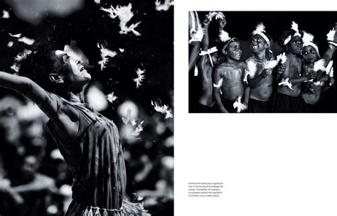 Buy Wayne Quilliam Culture Is Life The Chart And Map Shop