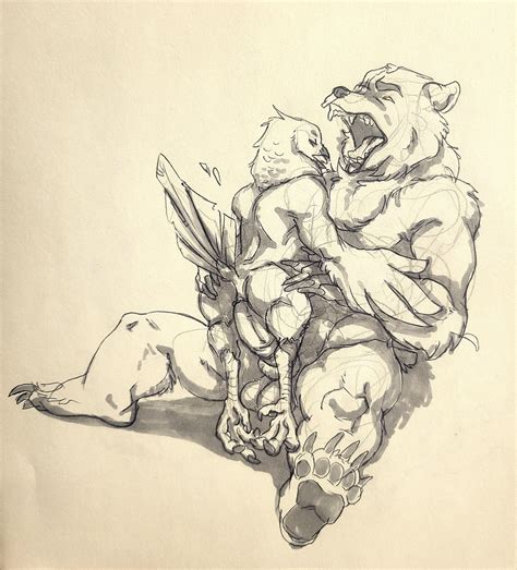 Rule 34 Animal Genitalia Animal Penis Anthro Anthro On Anthro Avian