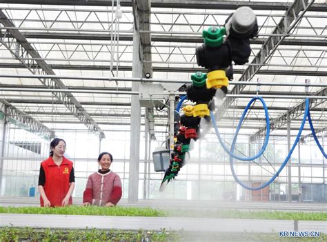 中 스마트 관개시스템 채소 물주기 알아서 척척”