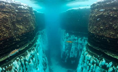 Under Antarcticas Ice Scientists Uncover A Hidden Network Of Over 300