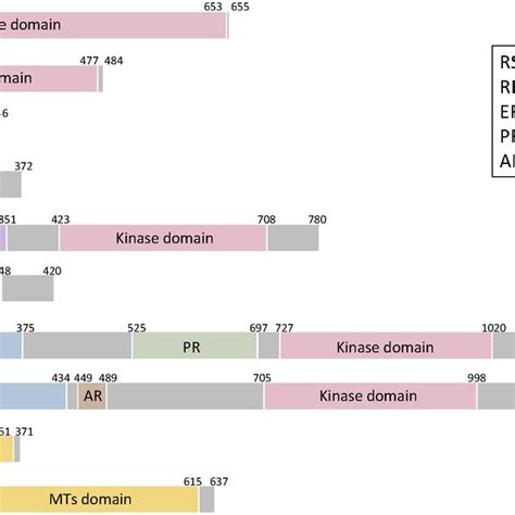 Schematic Diagram Of Eight Types Of Alternative Splicing Exon Download Scientific Diagram