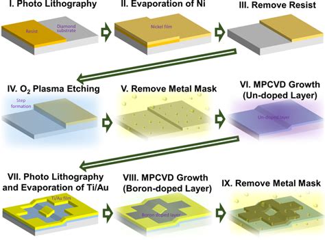 Single Crystalline Boron Doped Diamond Superconducting Quantum