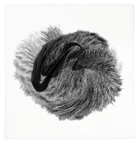 spike [ perlin noise vertex attraction ] more perlin noise string