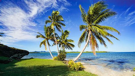 Pass The Lockdown With Nature This Gorgeous 32 Acre Private Island In