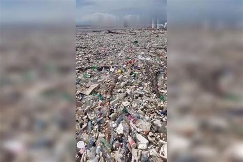 海洋公益组织记录下了工作时遇到的塑料污染实况，虽然知道海洋污染很严重，亲眼看到还是触目惊心 污染 实况 工作时