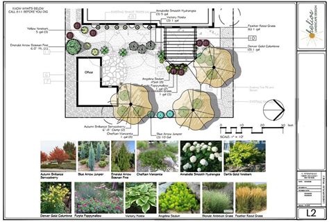 Phasing A Garden Renovation Helios Landscape Design