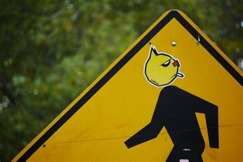 Premium Photo Close Up Of Sign On Tree