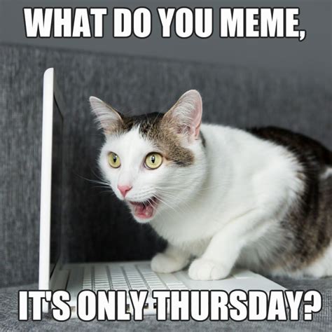 18 Funny Thursday Memes To Make You Lol