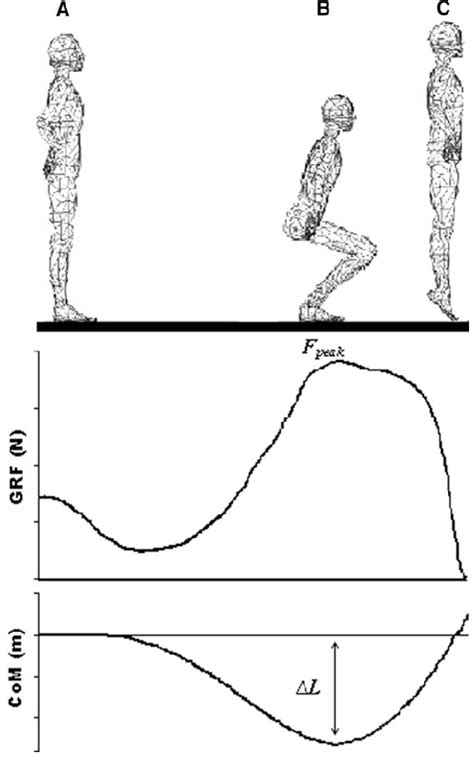 Spring Mass Model During Vertical Countermovement Jump Performed Over A Download Scientific