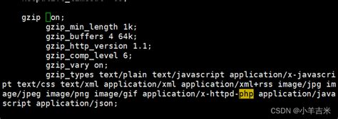 nginx的优化 安全与防盗链 nginx 安全链 csdn博客