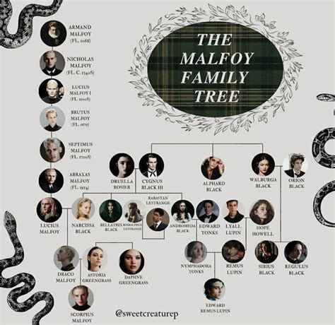 Pin By Rhaenyra On Harry Potter Harry Potter Characters Harry Potter