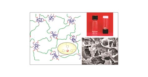 Genetic Engineering Of Self Assembled Protein Hydrogel Based On Elastin
