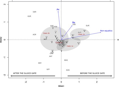 redundancy analysis rda triplot for samples numbers in depth