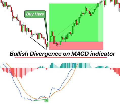 How To Trade With MACD Divergence Indicator ForexBee