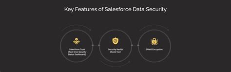 How Secure Is Your Data With Salesforce