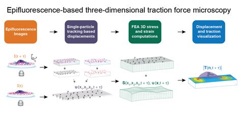 traction force microscopy · github topics · github