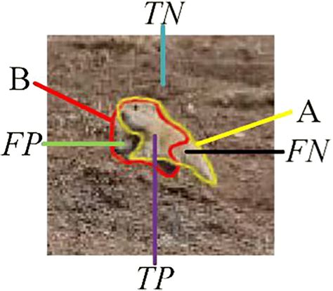 Schematic Diagram Of Parameters A B Fn Fp Tn And Tp Download