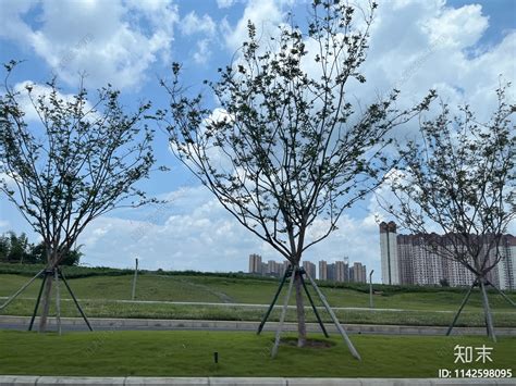 街边外景贴图贴图下载【id1142598095】【知末网贴图库】 街边外景贴图贴图下载【id1142598095】【知末网贴图库】