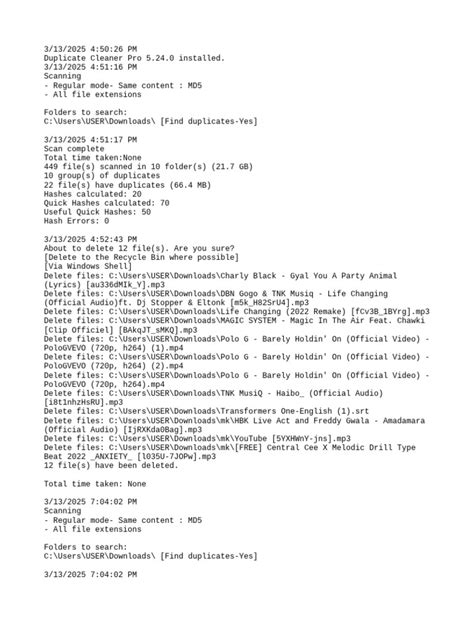 Duplicate Cleaner Log File Pdf Computer File Utility Software