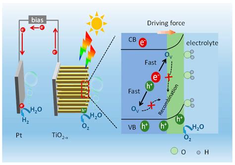 Defect Engineering And Surface Polarization Of Tio2 Nanorod Arrays