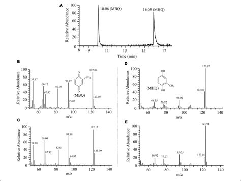 Optimized Explosives Analysis Using Portable Gas 48 OFF