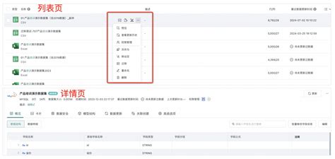 数据集管理概述 观远数据