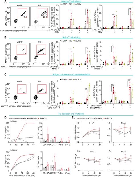 Restoring Tumor Immunogenicity With Dendritic Cell Reprogramming Science Immunology
