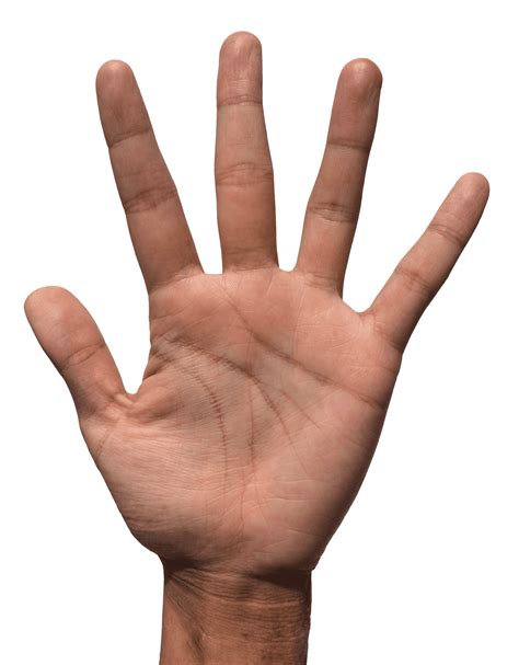 Open Hand Png Open Hands Gesture Open Hands Gesture Illustration