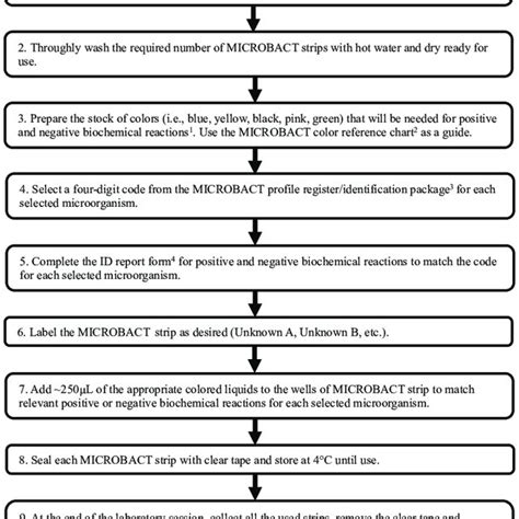 Schematic Illustration Of Simulating Microbact Strip Assay For Download Scientific Diagram