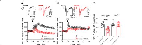 Adan Oligomers Do Not Reduce Ltp In Slices Of Tau −− Mice A Adan Download Scientific Diagram