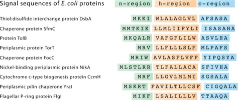 Figure S List Of SRP Dependent Signal Sequences These Sequences Download Scientific Diagram