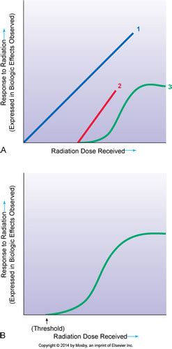 Stochastic Effects And Late Tissue Reactions In Organ Systems