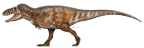 Tarbosaurus Asias King Of The Dinosaurs Dino World
