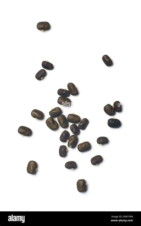 Seeds From Asian Pigeon Wing Plant Isolated White Background Butterfly