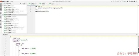 基于java的接口快速开发框架——magic Api 嵌入式技术 电子发烧友网