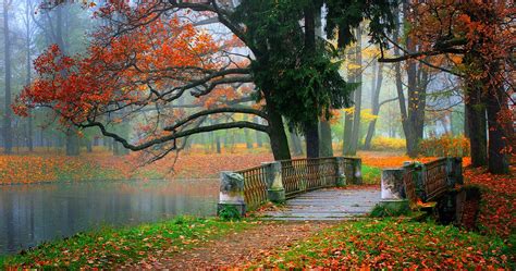 Autumn 4k Wallpapers Wallpaper Cave