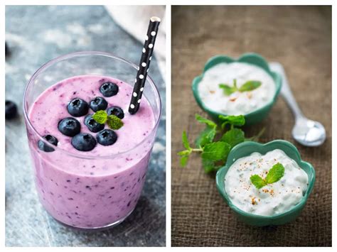 Is There Any Real Difference Between Curd And Yogurt