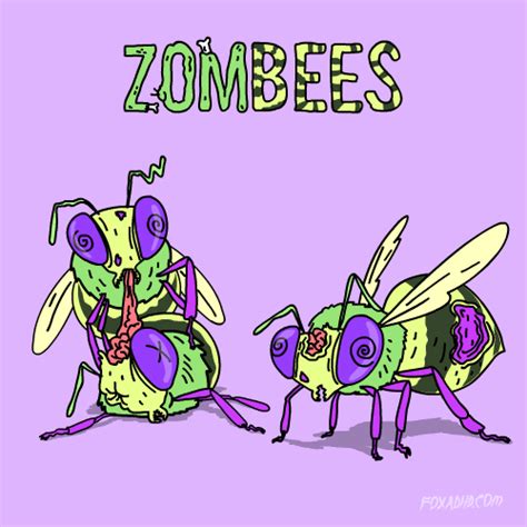 Bug Gifs Page WiffleGif