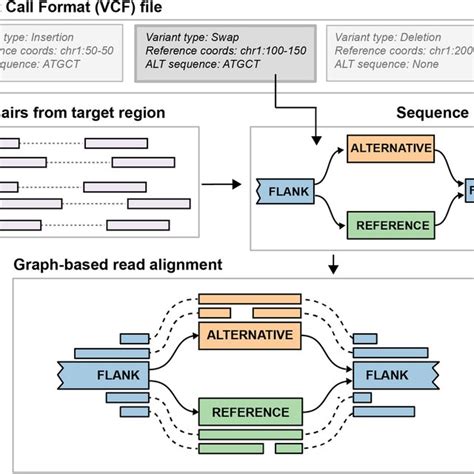 overview of the sv genotyping workflow implemented in paragraph the