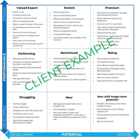 Strategic Talent Management Understanding The 9 Box Grid Model To Identify Potential And Unlock