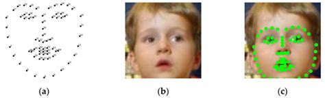 Algorithms Special Issue Ai For Cybersecurity Robust Models For