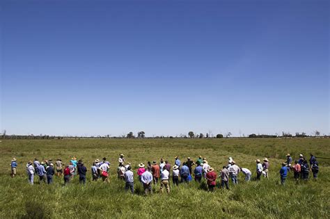 Regional Land Use Planning Nesp Resilient Landscapes Hub