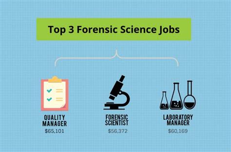 unraveling the mysteries forensic science chapter 4 review answers exposed
