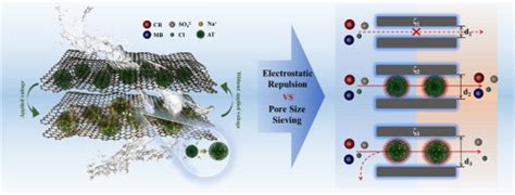 Electrically Induced Modulation Of Pore Size And Surface Potential In Conductive Nanofiltration