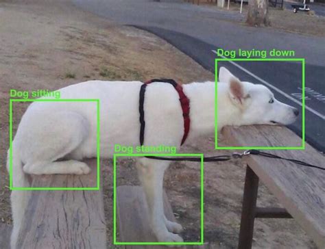 asif ameer on linkedin this is where machine learning meets machine