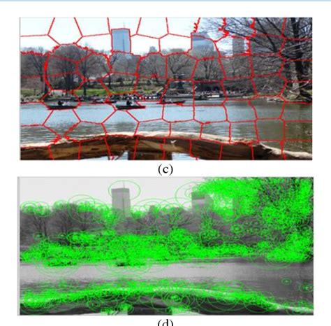Image Forgery Detection Using Adaptive Over Segmentation And Surf