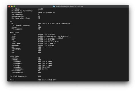ffmpeg python opencv mdue