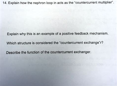 14 Explain How The Nephron Loop In Acts As The Countercurrent Multiplier Explain Why This Is