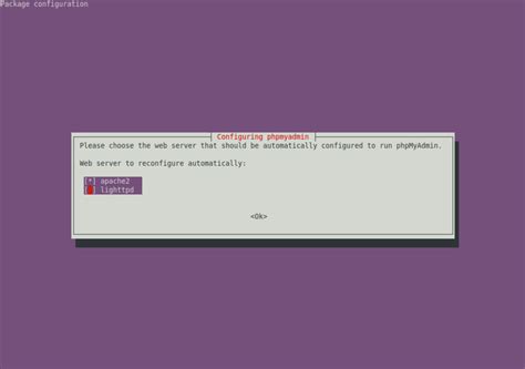 how to install lamp stack on linux mint 22 cloudspinx
